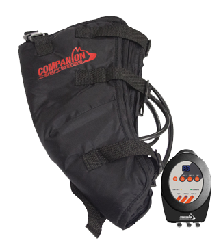 Companion Animal Health